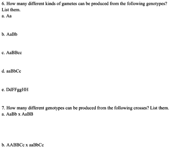 how many different kinds of gametes can be produced from the following ...