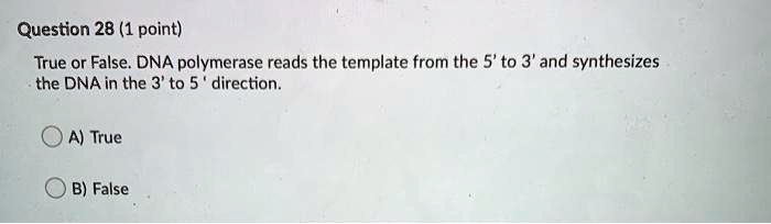 SOLVED: Question 28 (1 point) True or False. DNA polymerase reads the ...