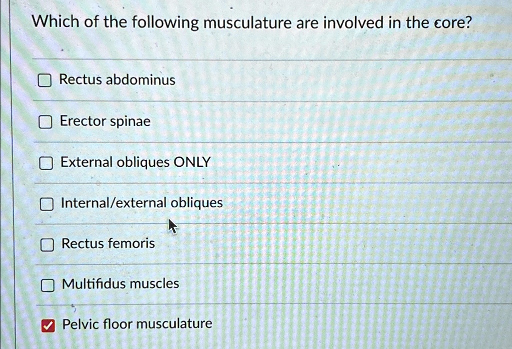 which of the following musculature are involved in the core rectus ...