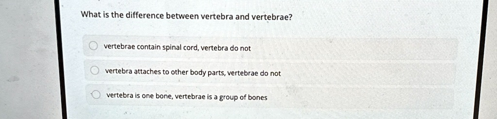 what is the difference between vertebra and vertebrae vertebrae contain ...