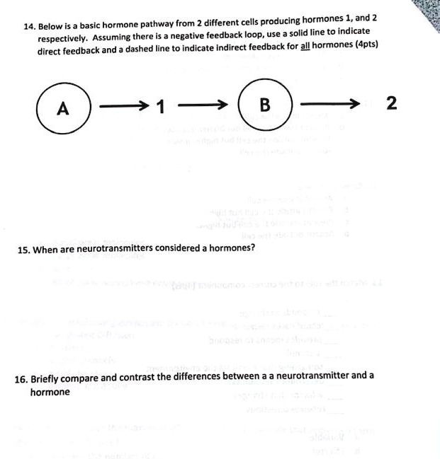 14. Below is a basic hormone pathway from 2 different cells producing ...