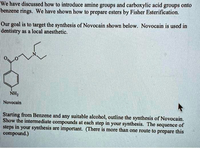 SOLVED:We have discussed how to introduce amine groups and carboxylic ...