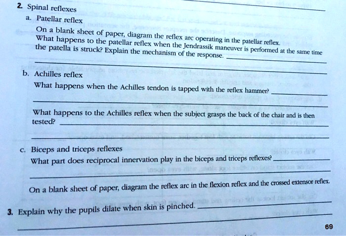 2. Spinal reflexes a. Patellar reflex On a blank sheet of paper ...