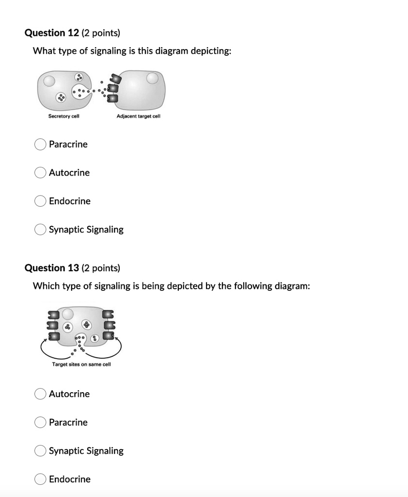 SOLVED: Question 12 (2 points) What type of signaling is this diagram ... SOLVED: Question 12 (2 points) What type of signaling is this diagram ...