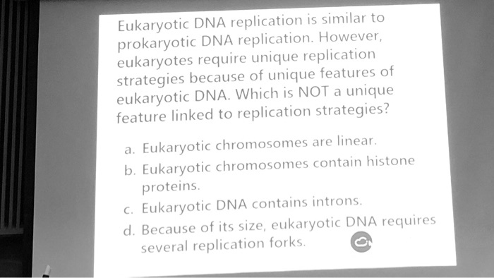 Solved Eukaryotic Dna Replication Is Similar To Prokaryotic Dna Replication However Eukaryotes