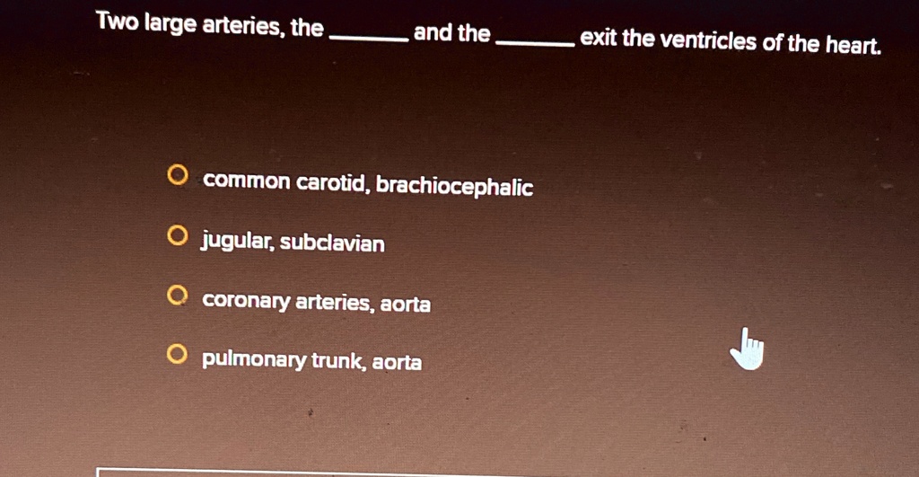 Two large arteries, the and the exit the ventricles of the heart ...