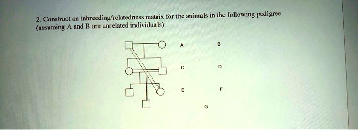 SOLVED: Construct En inbreeding relatedness matrix for the animals in ...