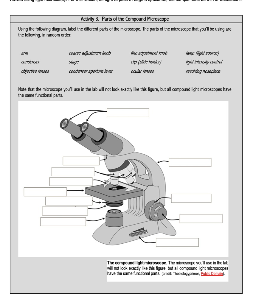 SOLVED: MICROSCOPE PARTS Activity 3: Parts of the Compound Microscope ...