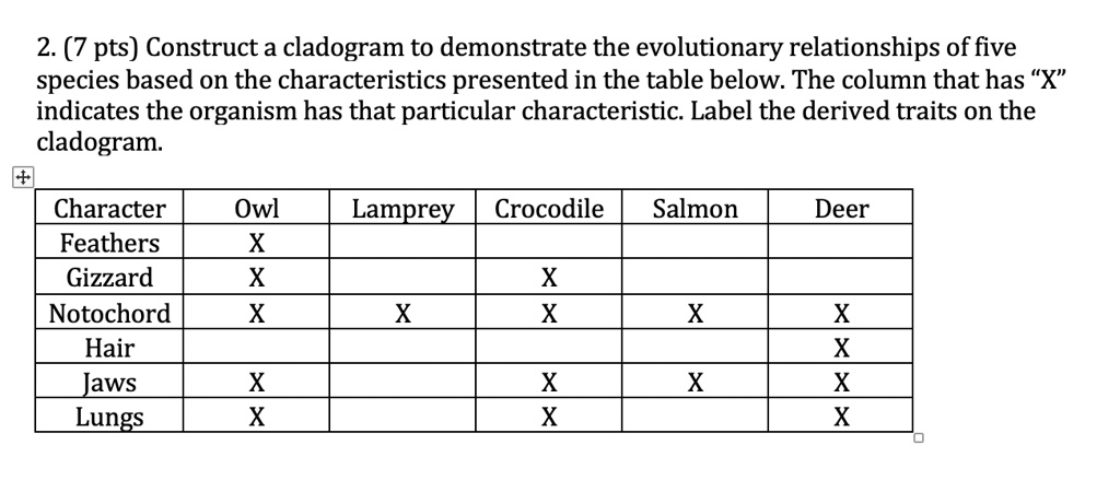 2 7 pts construct a cladogram to demonstrate the evolutionary relationships of five species ...