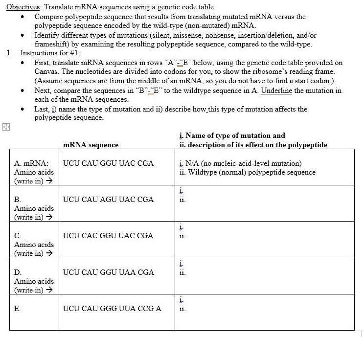 SOLVED:Qbiectives: Translate mRNA sequences using genetic code table Compare polypeptide ...