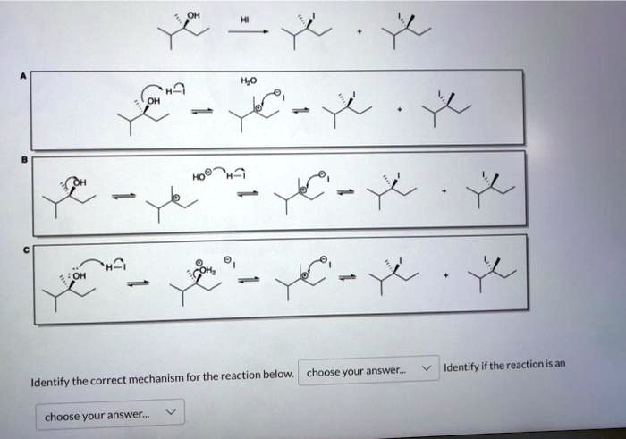 SOLVED: Reaction Below: Choose Your Answer - Identify the correct ...