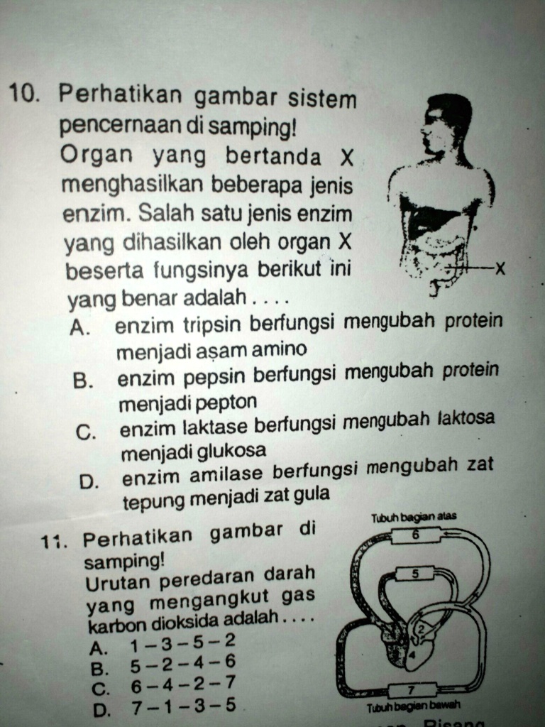 SOLVED: tolong dijawab dua duanya yatolong bantuannya 10. Perhatikan ... SOLVED: tolong dijawab dua duanya yatolong bantuannya 10. Perhatikan ...