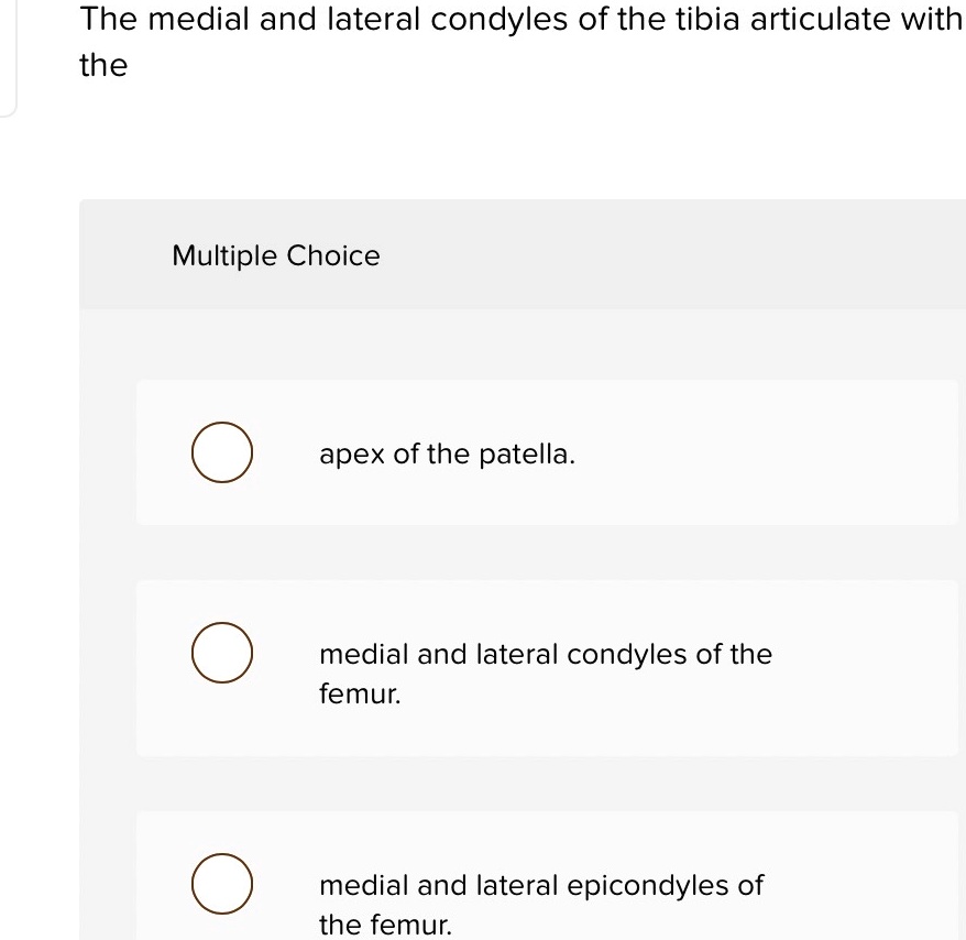 the medial and lateral condyles of the tibia articulate with the ...