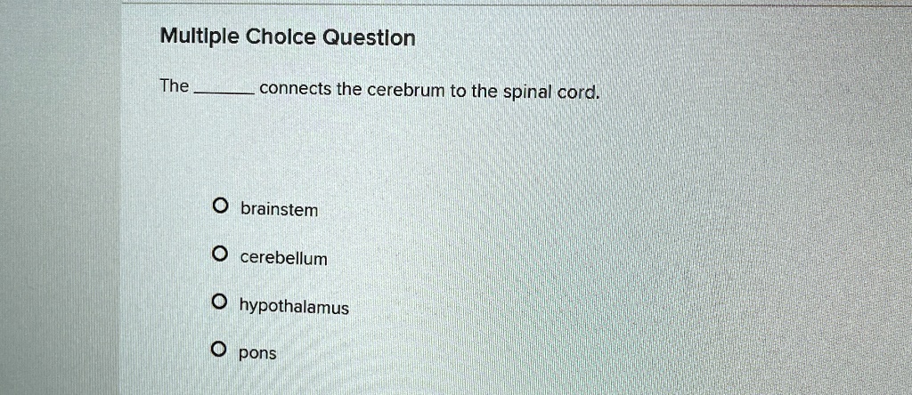 Multiple Choice Question The connects the cerebrum to the spinal cord. O brainstem O cerebellum ...