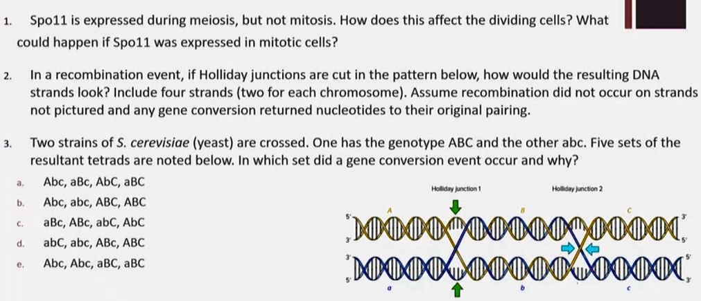 SOLVED: Texts: 1. Spo11 is expressed during meiosis, but not mitosis ...