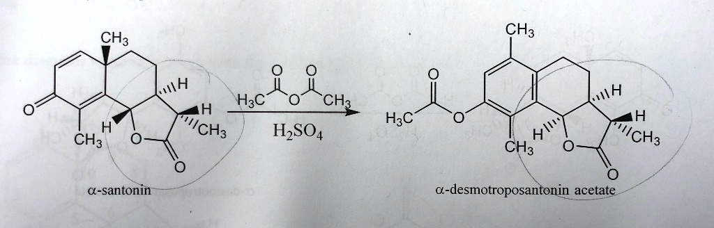SOLVED: CH3 CH3 Lh HzC CHa AH "ICH3 H2SO4 HaC Llh KIli IH TICH3 CH3 H ...