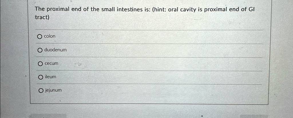 The proximal end of the small intestines is hint oral cavity...