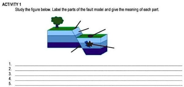 SOLVED: Activity 1: Study the figure below. Label the parts of the ...