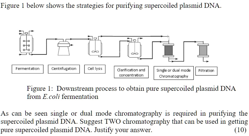 SOLVED: Figure 1 below shows the strategies for purifying supercoiled ...
