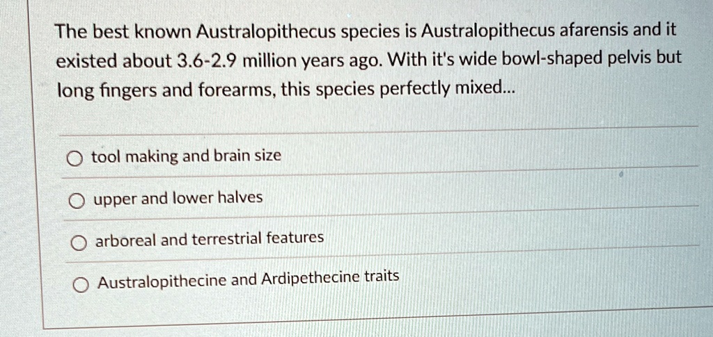 the best known australopithecus species is australopithecus afarensis ...