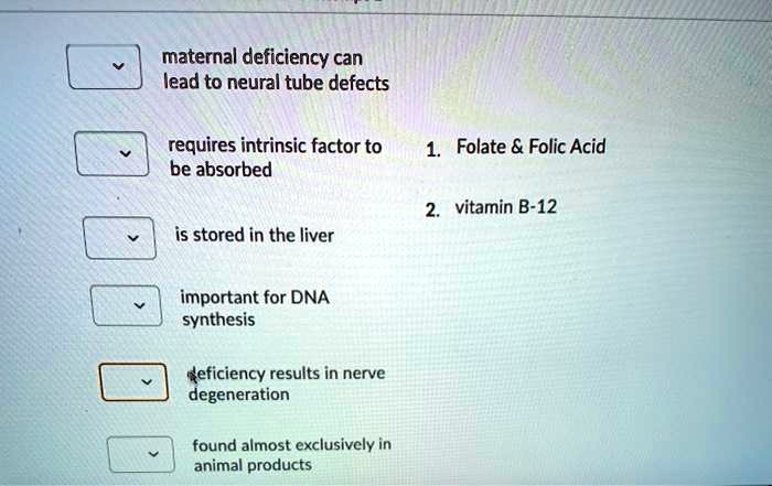 maternal deficiency can lead to neural tube defects requires intrinsic ...