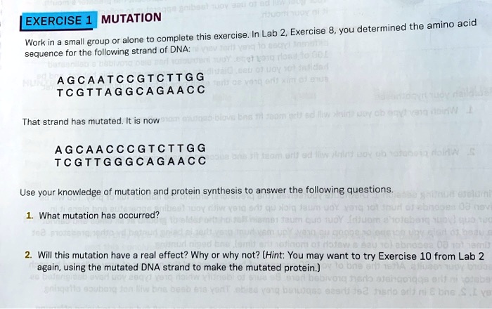 SOLVED: EXERCISE 1 MUTATION the amino acid exercise. In Lab 2, Exercise ...
