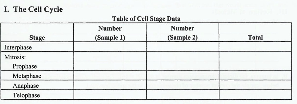 I. The Cell Cycle Table of Cell Stage Data Number Number (Sample 1 ...