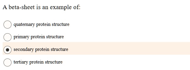 A beta-sheet is an example of: quaternary protein structure primary ...