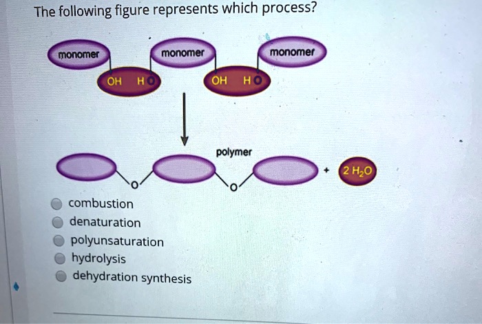 The following figure represents which process? monomer monomer monomer ...