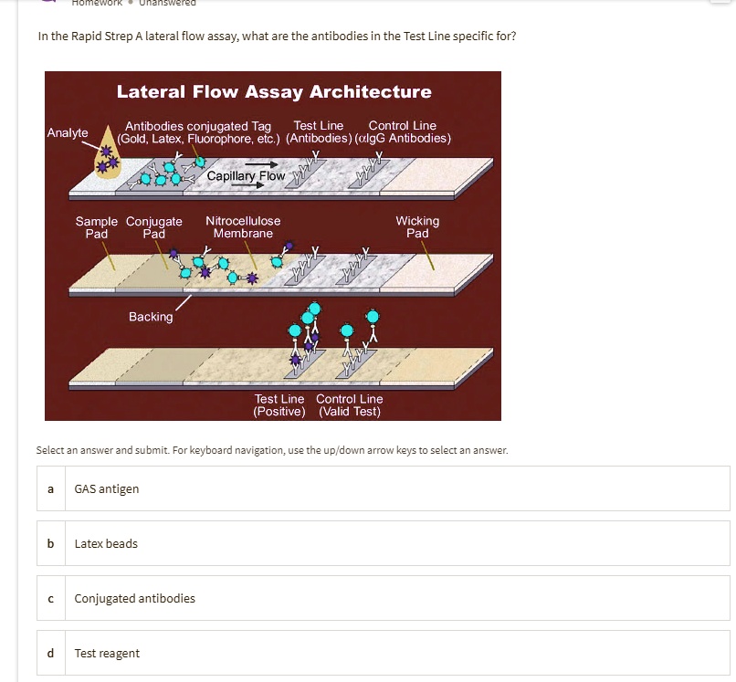SOLVED: In the Rapid Step - lateral flow assay, what are the antibodies ...