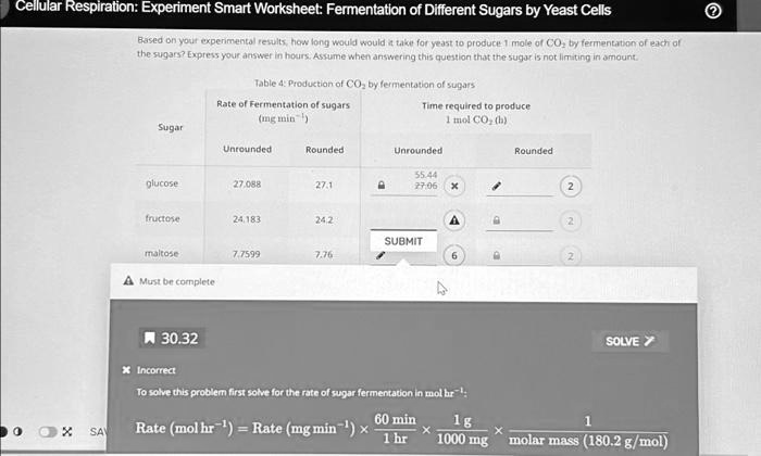 Cellular Respiration: Experiment Smart Worksheet: Fermentation of ...