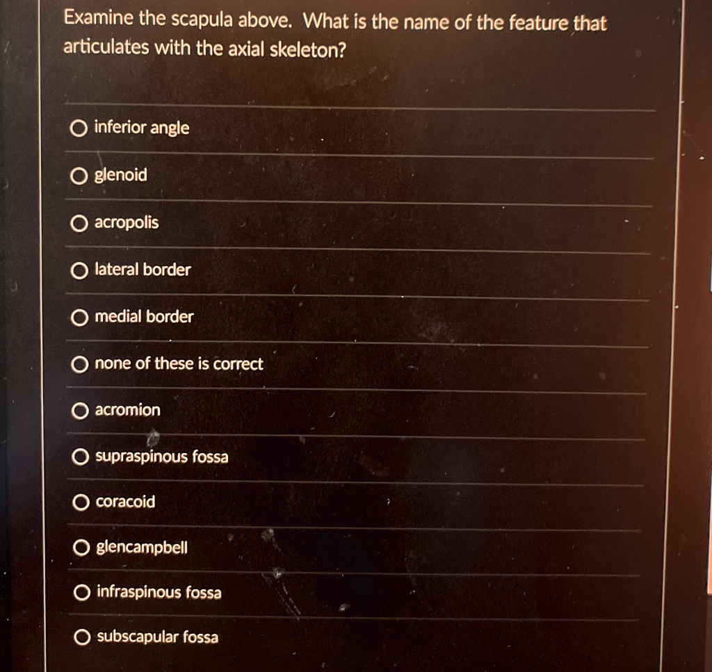 examine the scapula above what is the name of the feature that ...