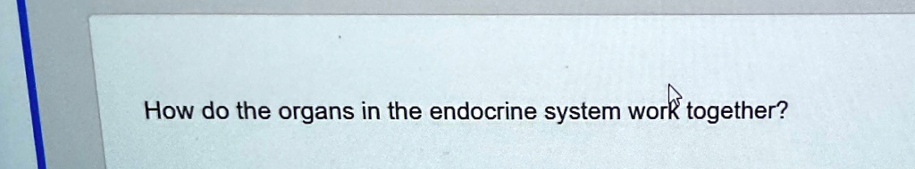 how do the organs in the endocrine system work together how do the organs in the endocrine ...