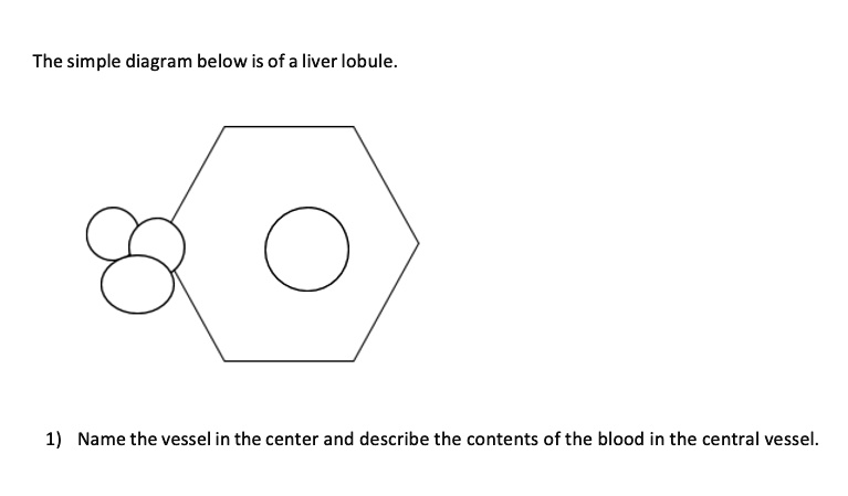 SOLVED: The simple diagram below is of a liver lobule 1) Name the vessel in the center and ...
