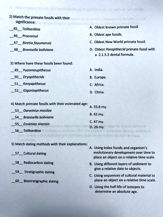 SOLVED: 2) Match the primate fossils with their significance ...