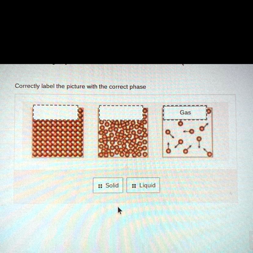SOLVED: 'correctly label the picture with the correct phase Correctly ...