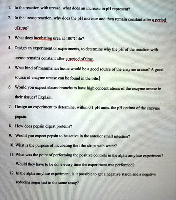 in the rcaction with urease what does an increase in ph represent in ...