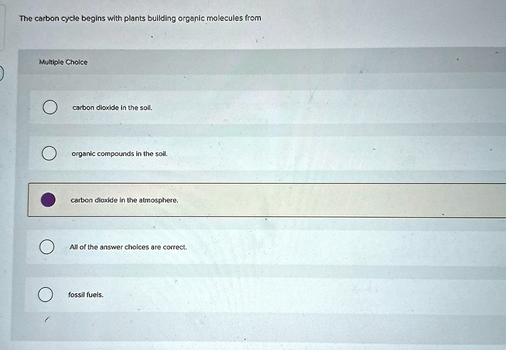 the carbon cycle begins with plants building organic molecules from ...