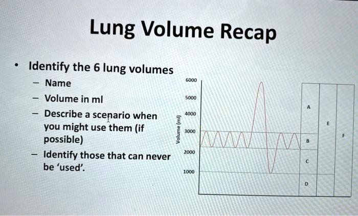 Lung Volume Recap Identify the 6 lung volumes Name G0… - SolvedLib