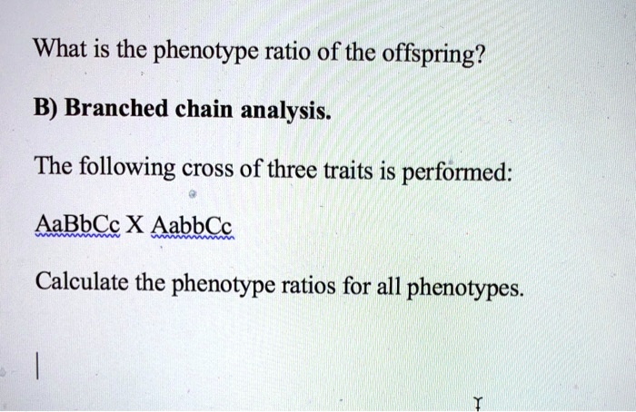 SOLVED: What is the phenotype ratio of the offspring? B) Branched chain ...