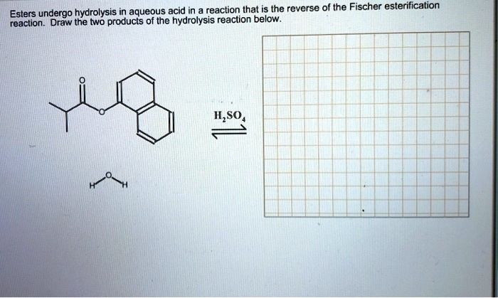 SOLVED: Esters undergo hydrolysis in aqueous acid in @ reaction thatis the reverse of the ...