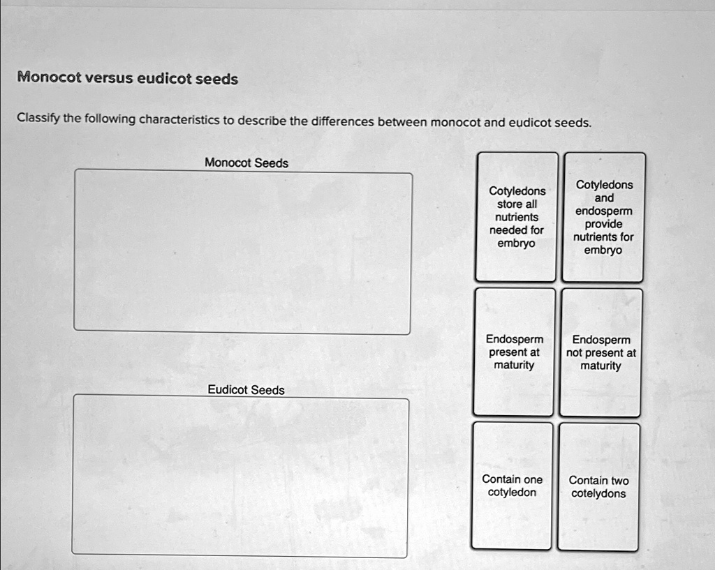 SOLVED: Monocot versus eudicot seeds Classify the following characteristics to describe the ...