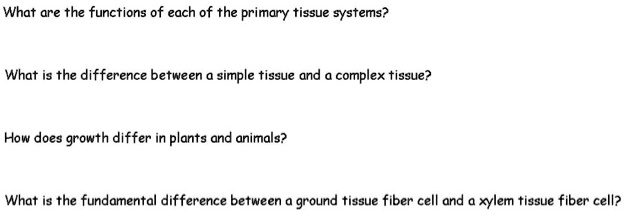 SOLVED: What are the functions of each of the primary tissue systems ...
