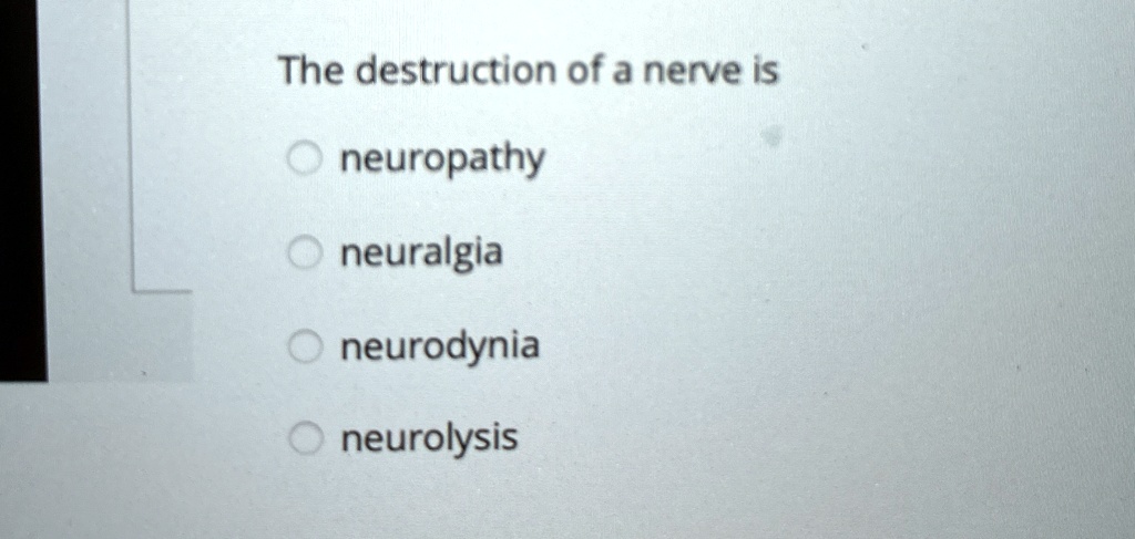 the destruction of a nerve is neuropathy neuralgia neurodynia ...
