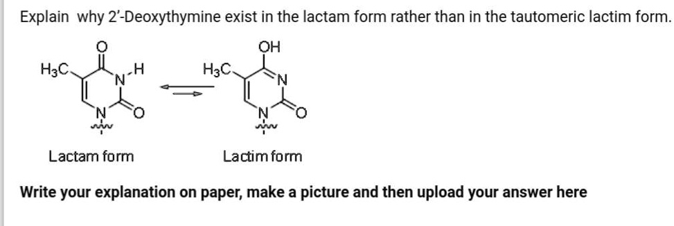 SOLVED: Explain why 2'-Deoxythymine exists in the lactam form rather ...