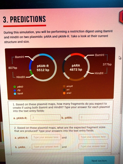 SOLVED: 3 . PREDICTIONS During this simulation you will be performing ...