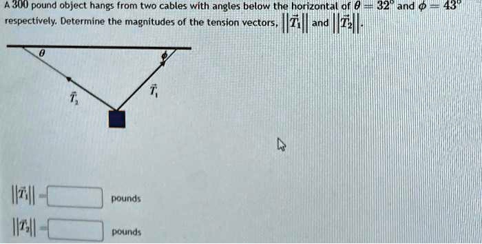A 300 pound object hangs from two cables with angles below the ...