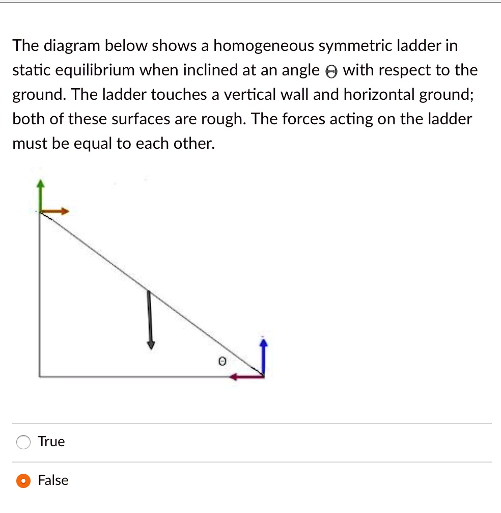 the diagram below shows a homogeneous symmetric ladder in static ...