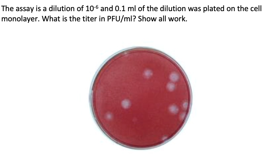 SOLVED: The assay is a dilution of 10-6and 0.1 ml of the dilution was ...