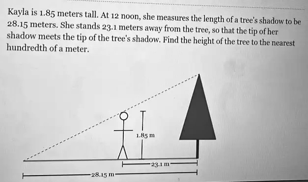 kayla is 185 meters tall at 12 noon she measures the 2815 length of a ...